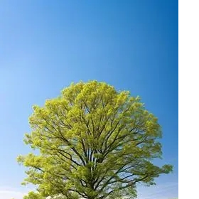 马里奥·巴里奥斯 vs 曼尼·帕奎奥 - AcFun弹幕视频网 - 认真你就输啦 (?ω?)ノ- ( ゜- ゜)つロ