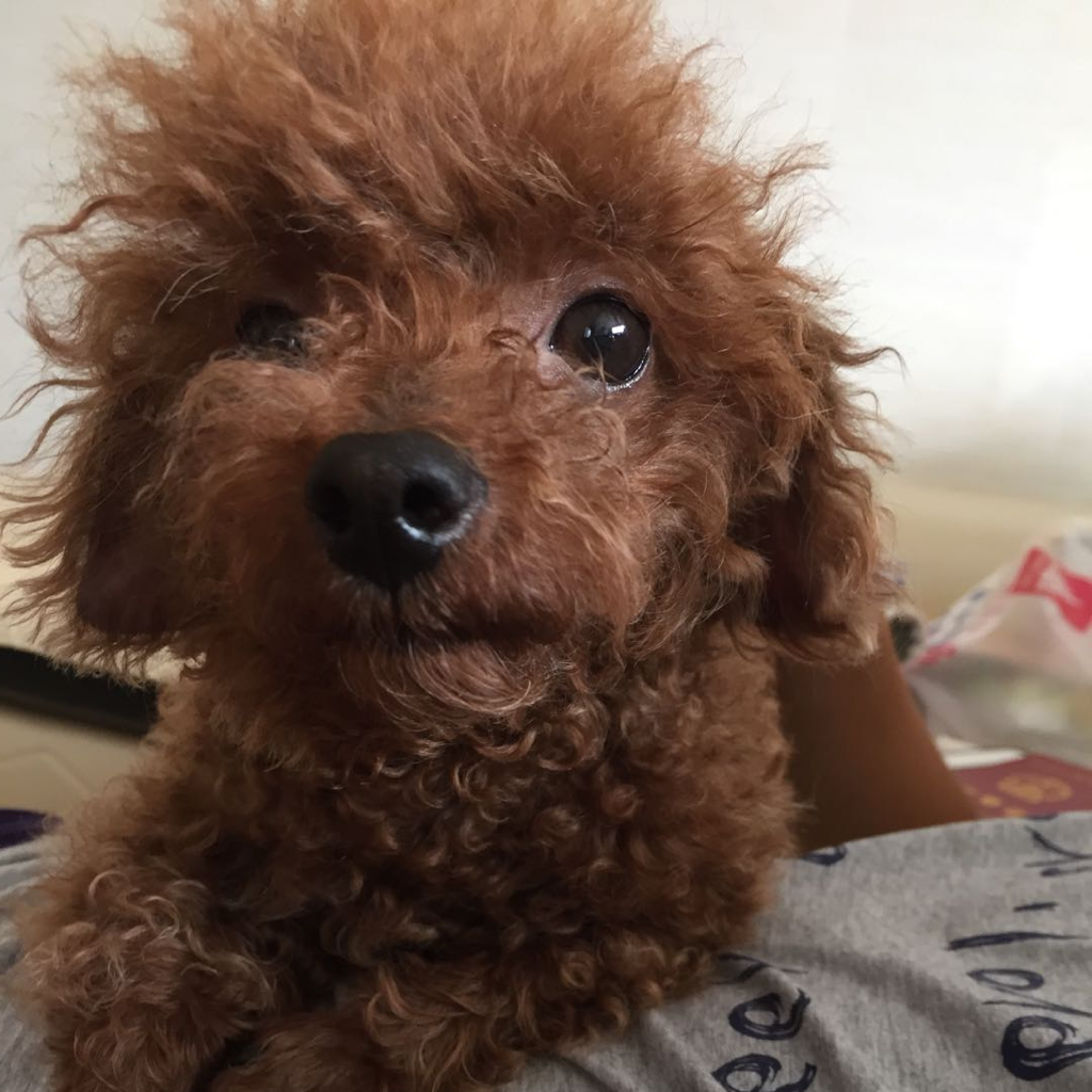 【Naimi奶咪】国内版大合集～ 嘿嘿 - AcFun弹幕视频网 - 认真你就输啦 (?ω?)ノ- ( ゜- ゜)つロ