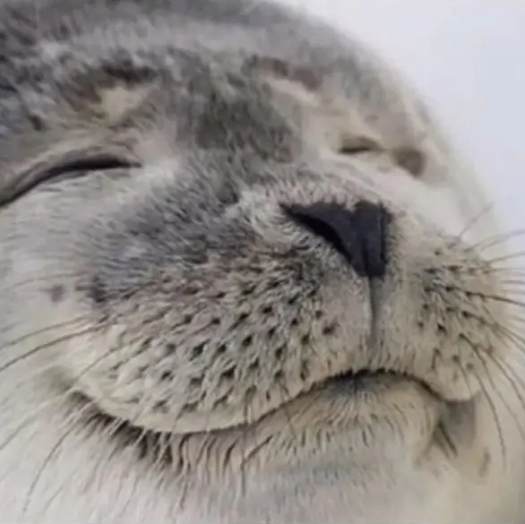 我爸得了MVP之岳飞 - AcFun弹幕视频网 - 认真你就输啦 (?ω?)ノ- ( ゜- ゜)つロ