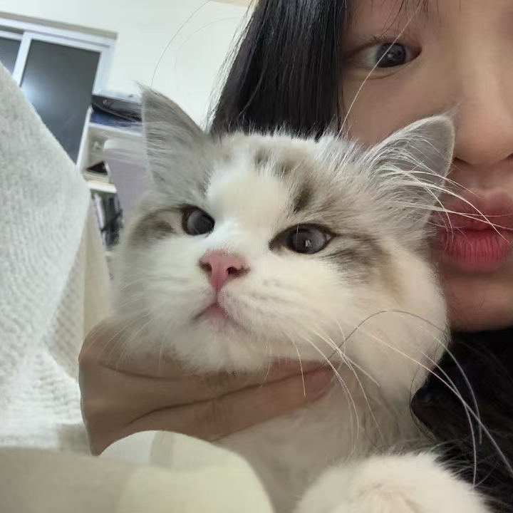 【2025AcFun新春之夜单品】AC就是天！ - AcFun弹幕视频网 - 认真你就输啦 (?ω?)ノ- ( ゜- ゜)つロ