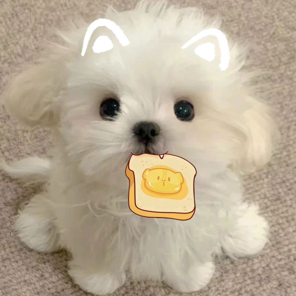 sana系列地下偶像未删完整版（13） - AcFun弹幕视频网 - 认真你就输啦 (?ω?)ノ- ( ゜- ゜)つロ