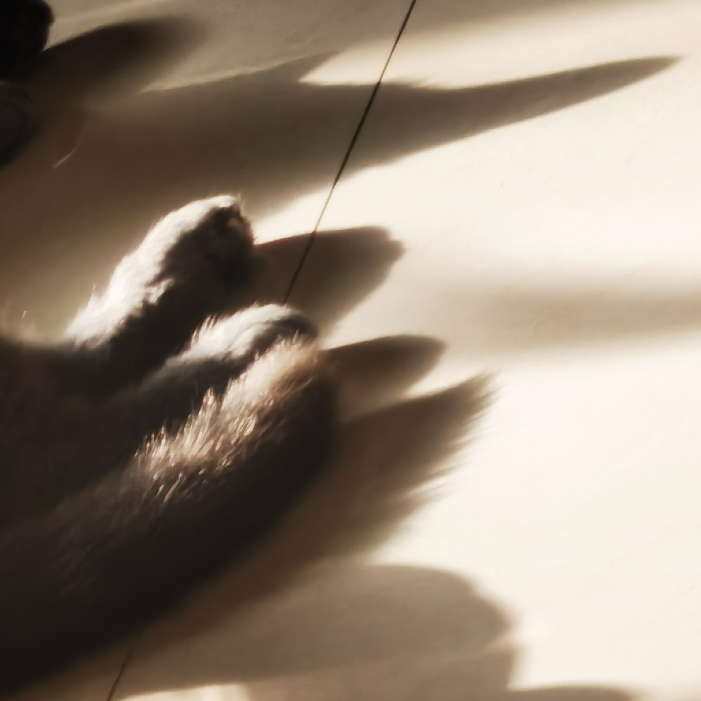 25个“狠人”空降鬼宅，谁能活到最后?硬核游戏《布莱克庄园的降灵会》全员存活全成就超长讲述【深夜档】 - AcFun弹幕视频网 - 认真你就输啦 (?ω?)ノ- ( ゜- ゜)つロ