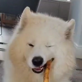 【中文翻配|一人役】chiikawa（更新至10p） - AcFun弹幕视频网 - 认真你就输啦 (?ω?)ノ- ( ゜- ゜)つロ