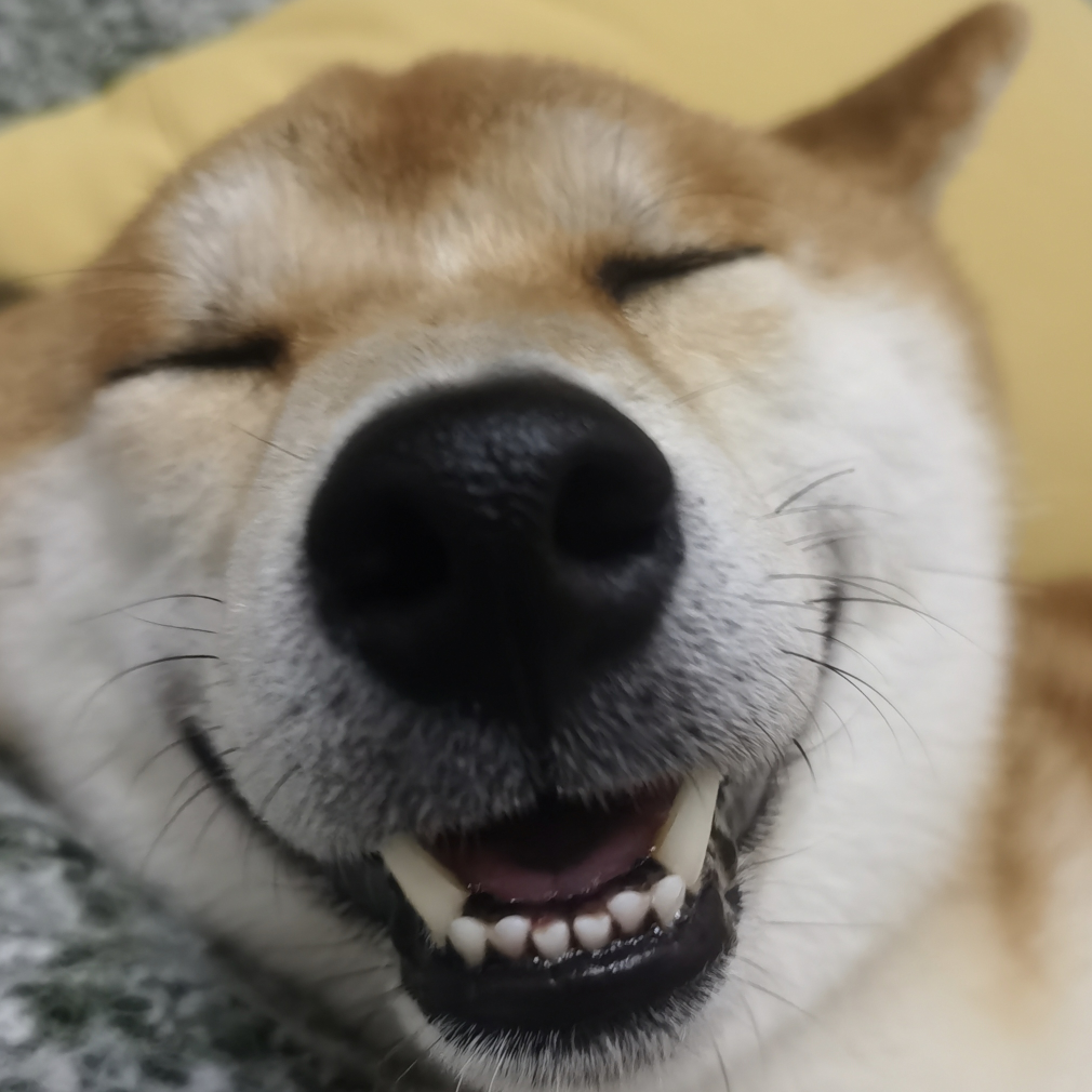 【4k修复60帧】霉霉泰勒·斯威夫特52个MV合集【收藏级画质】【已更新12个MV】 - AcFun弹幕视频网 - 认真你就输啦 (?ω?)ノ- ( ゜- ゜)つロ