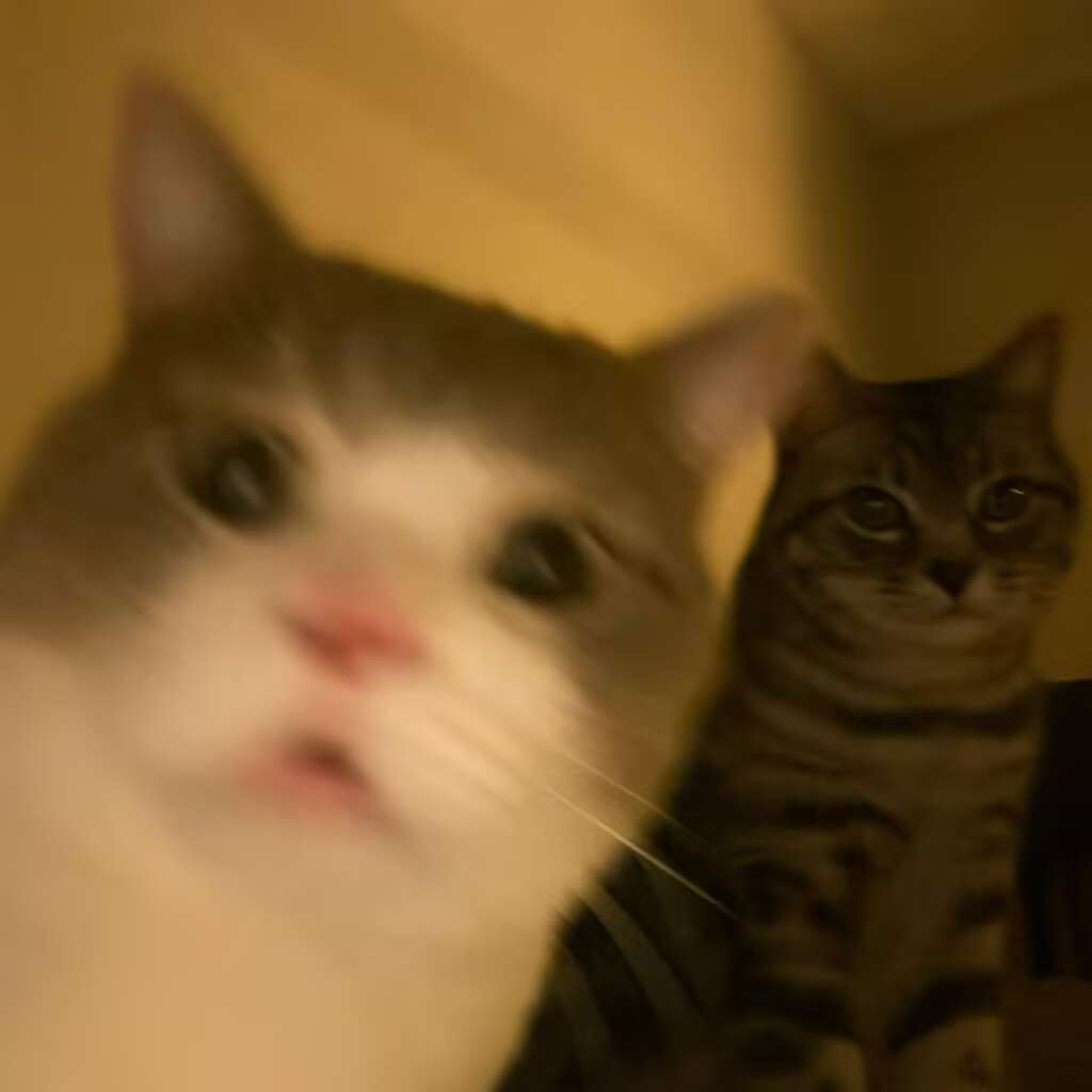 【4K修复版60帧】本能 - AcFun弹幕视频网 - 认真你就输啦 (?ω?)ノ- ( ゜- ゜)つロ