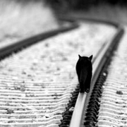 【OAD】银魂 2016 爱染香篇 上【LAC字幕组】 - AcFun弹幕视频网 - 认真你就输啦 (?ω?)ノ- ( ゜- ゜)つロ