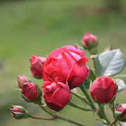 【2004】战区88 TV1-12话全 日语中字 - AcFun弹幕视频网 - 认真你就输啦 (?ω?)ノ- ( ゜- ゜)つロ