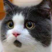 黄巢mvp - AcFun弹幕视频网 - 认真你就输啦 (?ω?)ノ- ( ゜- ゜)つロ