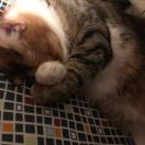 【圣斗士星矢】银河战争篇 001~015 - AcFun弹幕视频网 - 认真你就输啦 (?ω?)ノ- ( ゜- ゜)つロ